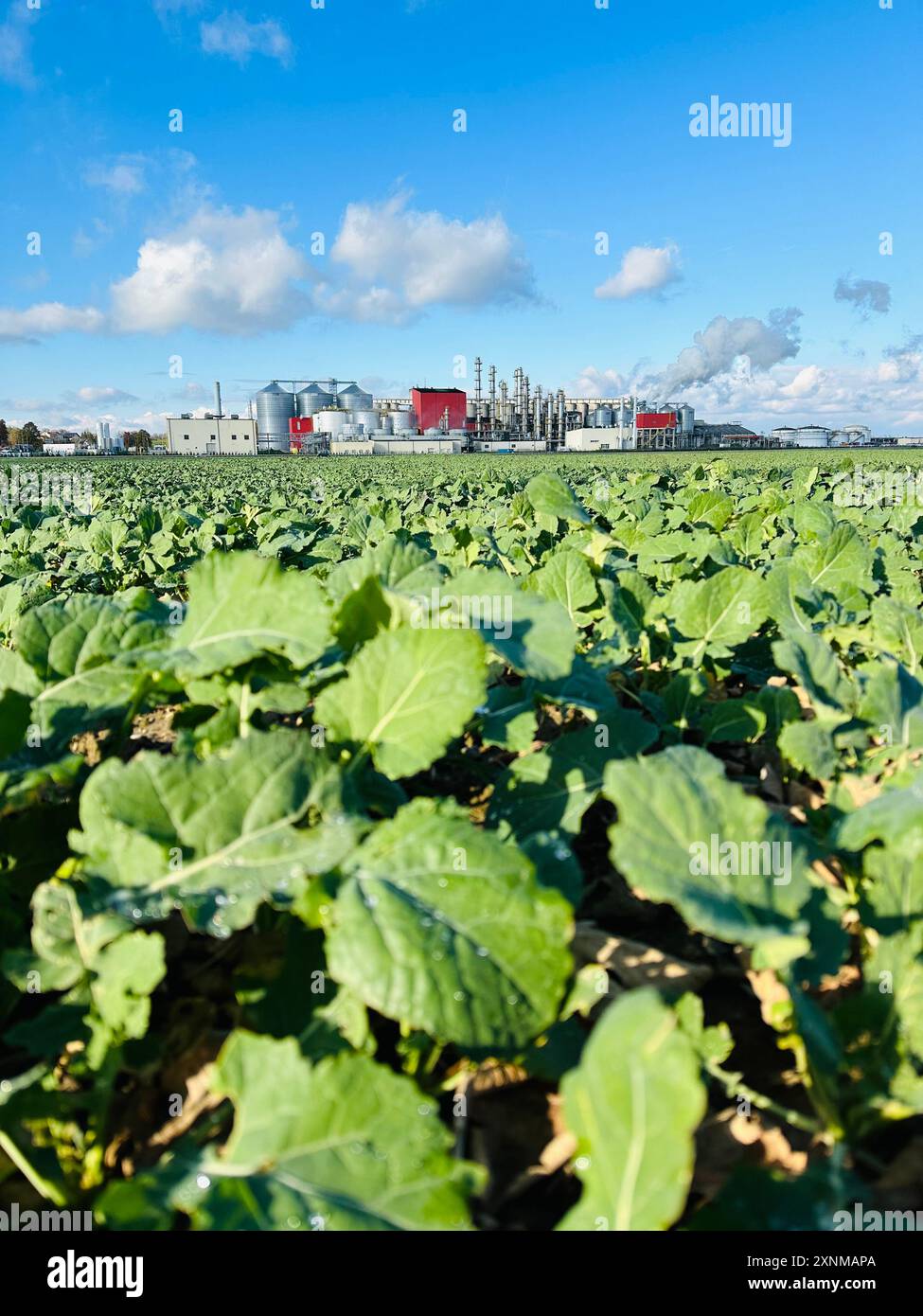 View of methanol and ethanol factory. Polish producer of bioethanol and ...