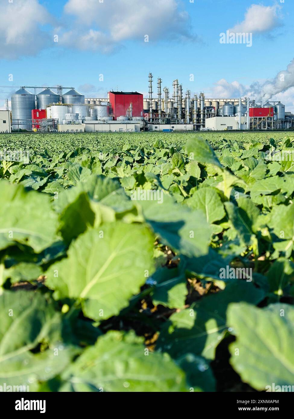 View of methanol and ethanol factory. Polish producer of bioethanol and ...
