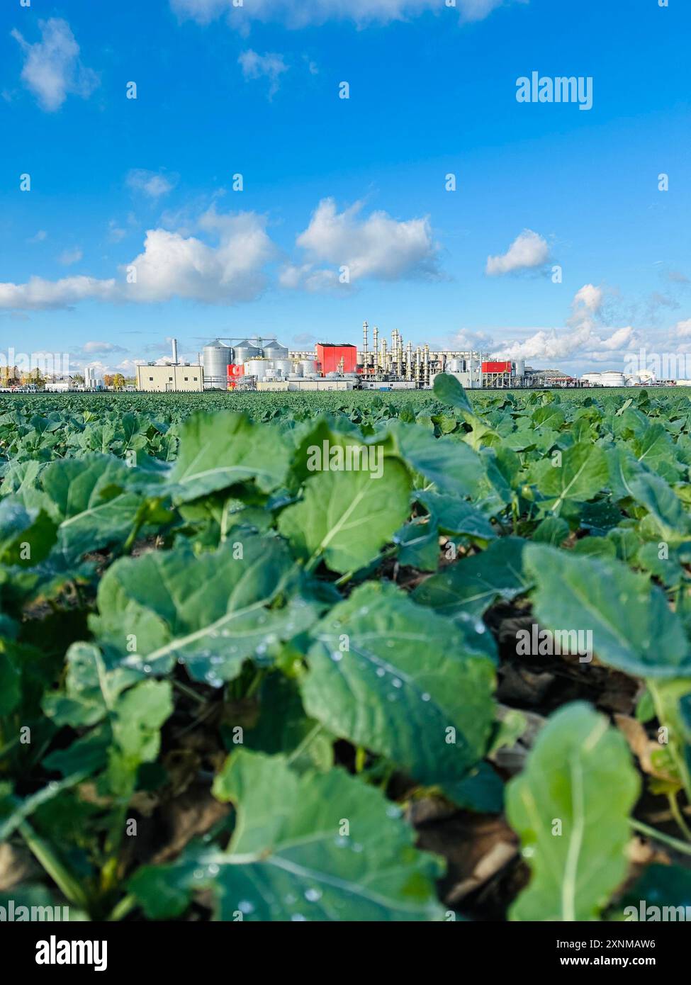 View of methanol and ethanol factory. Polish producer of bioethanol and ...