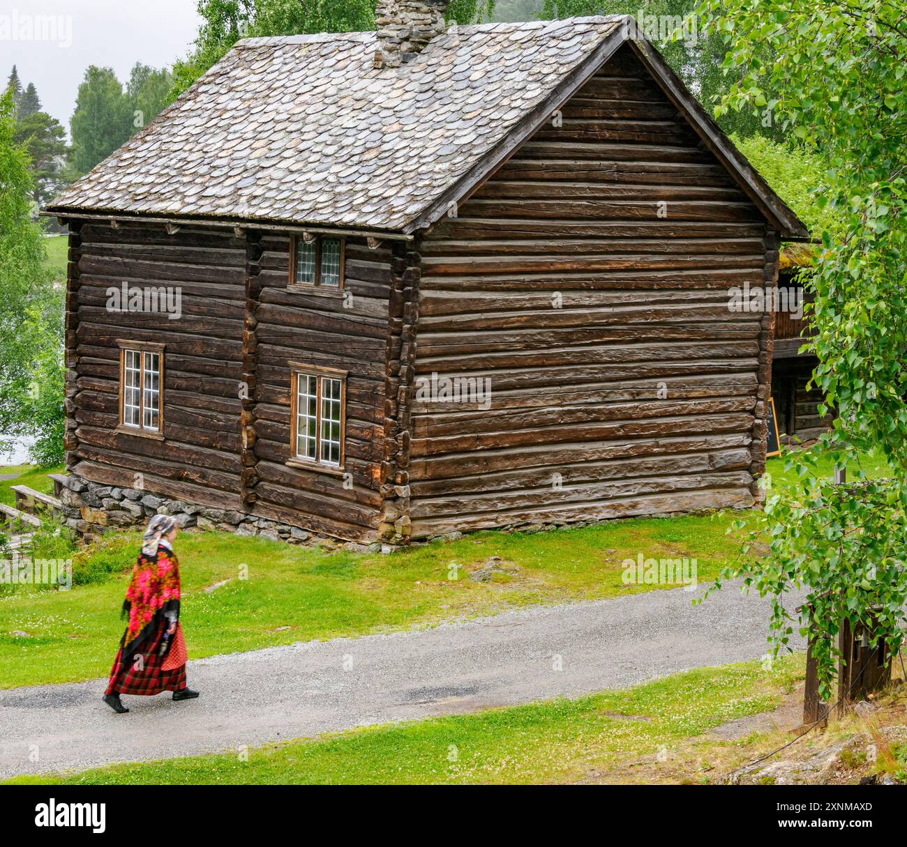 Young woman in traditional Norwegian costume walking on a path at the ...