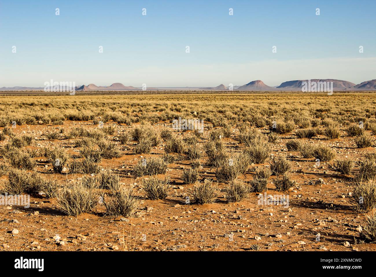 The dry and barren shrublands in the plains of the Nama Karoo in the ...