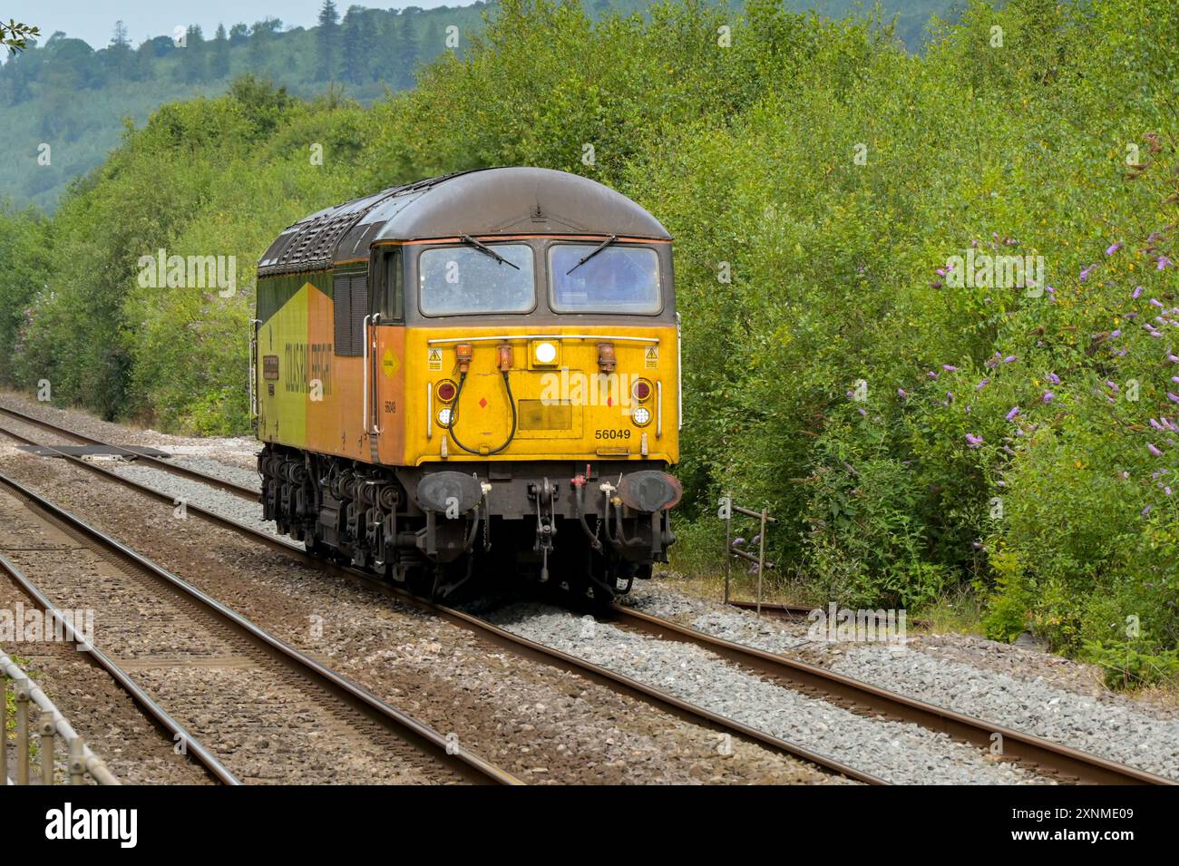 Pontyclun, Wales, UK. - 31 July 2024: Class 56 diesel locomotive operated by Colas Rail Freight ...