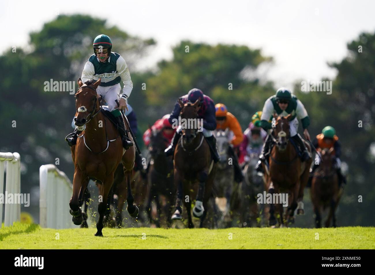 Nurburgring horse hi-res stock photography and images - Alamy