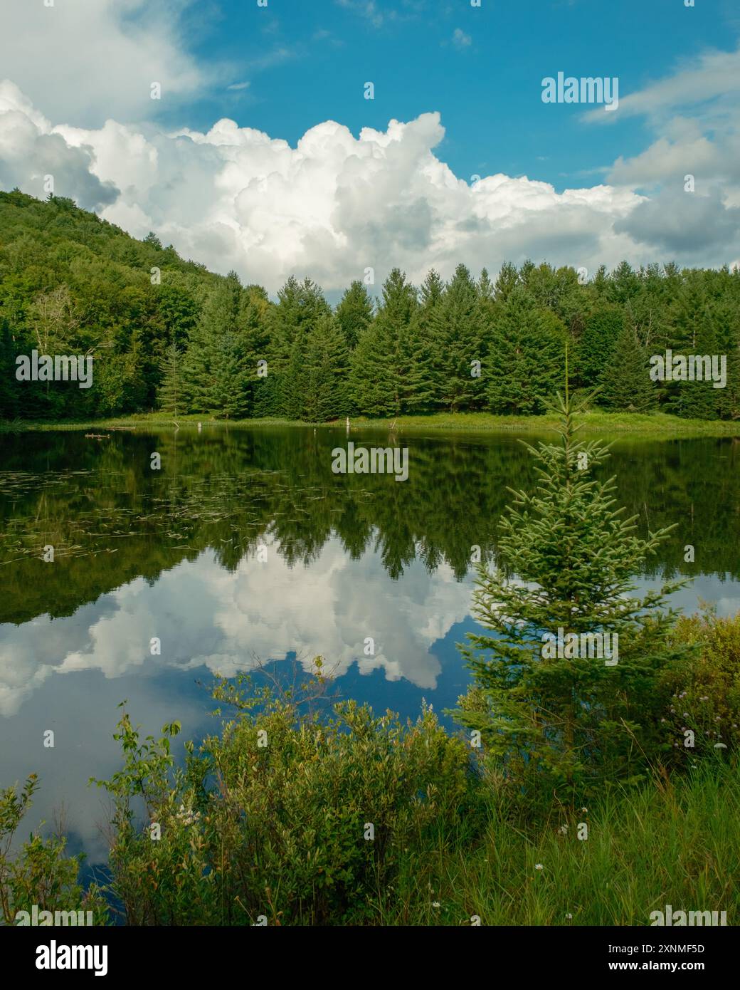 Lake Alma in the Adirondack Mountains, New York Stock Photo - Alamy