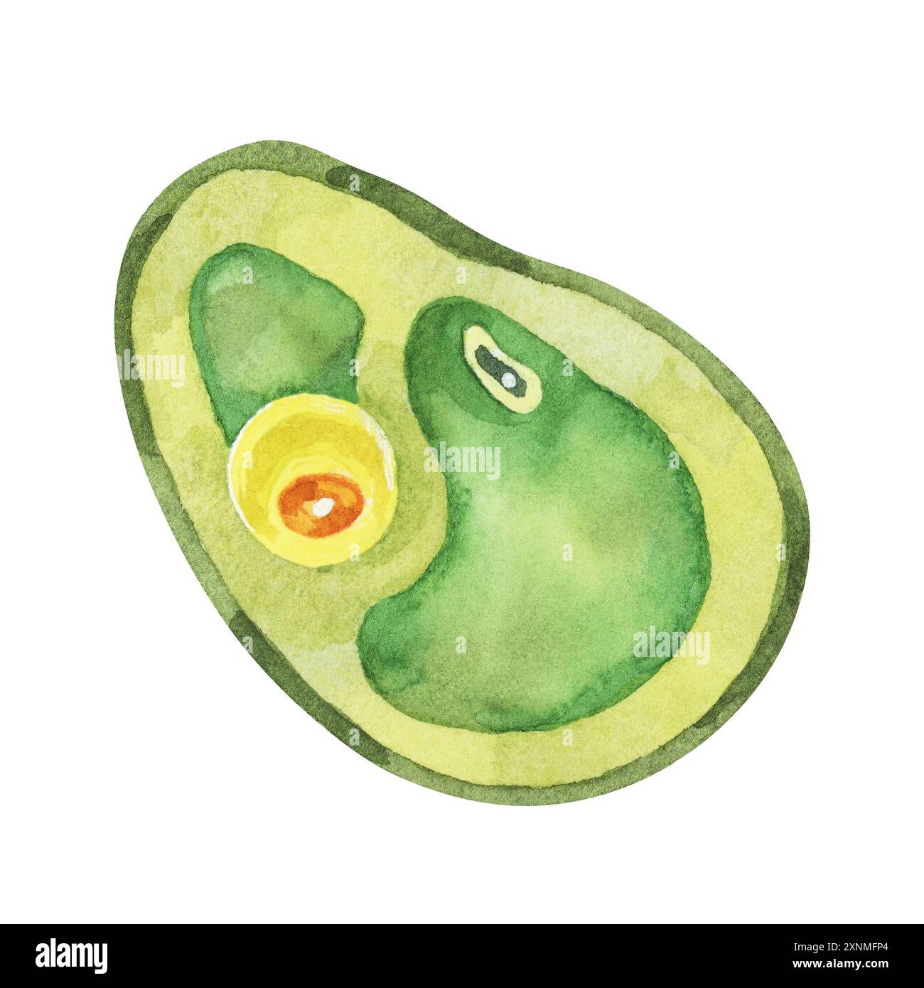 Microalgae cell hi-res stock photography and images - Alamy