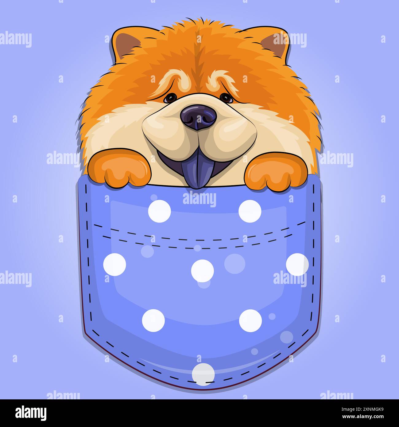 Cute cartoon chow chow dog in blue pocket. Vector illustration of an ...