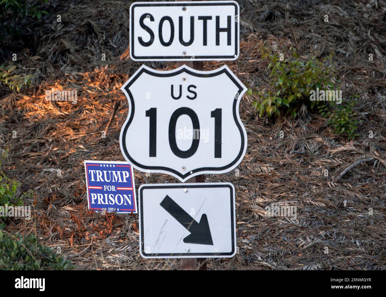 Santa Barbara, California, USA. 31st July, 2025. A 'Trump for Prison ...