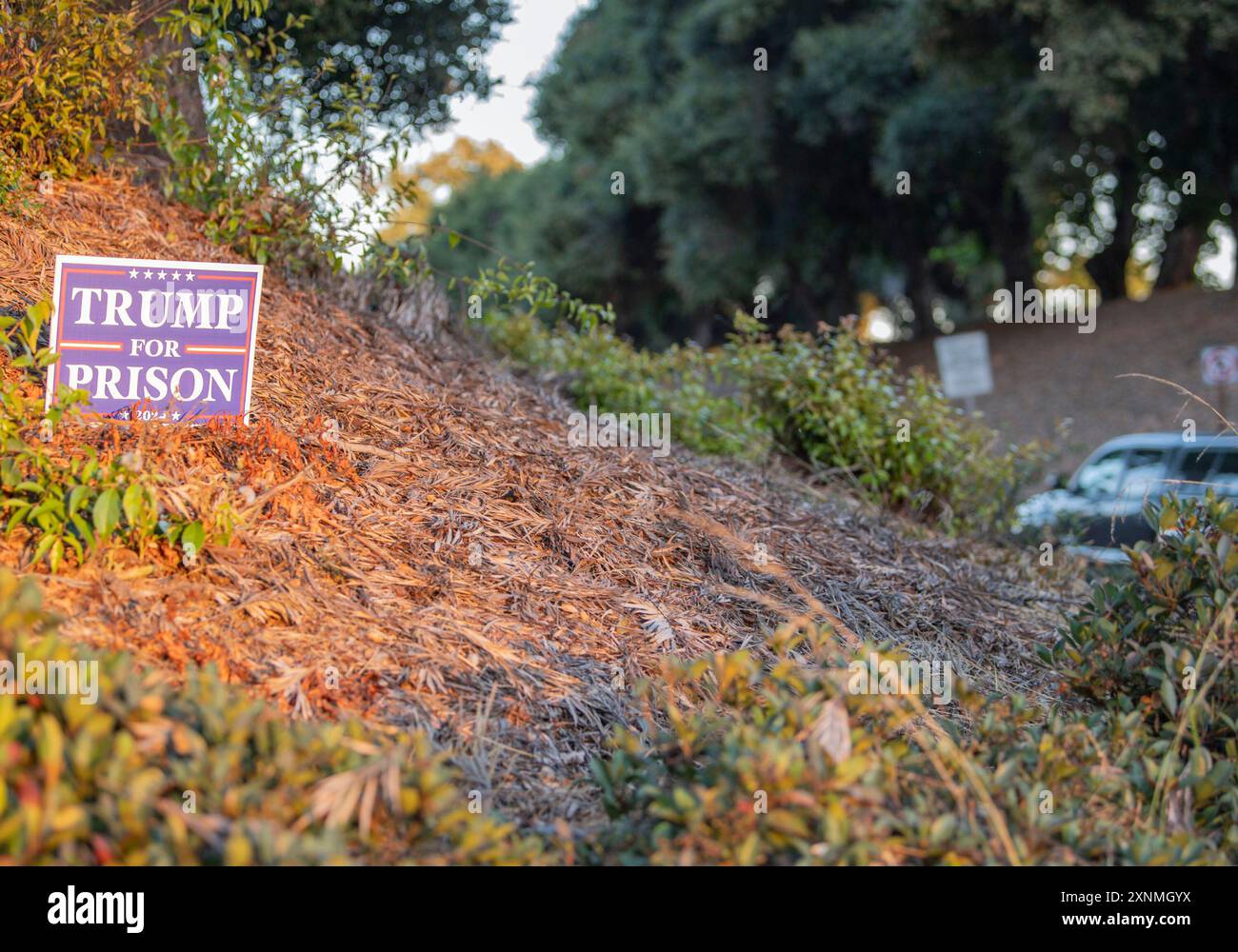 Santa Barbara, California, USA. 31st July, 2025. A 'Trump for Prison ...