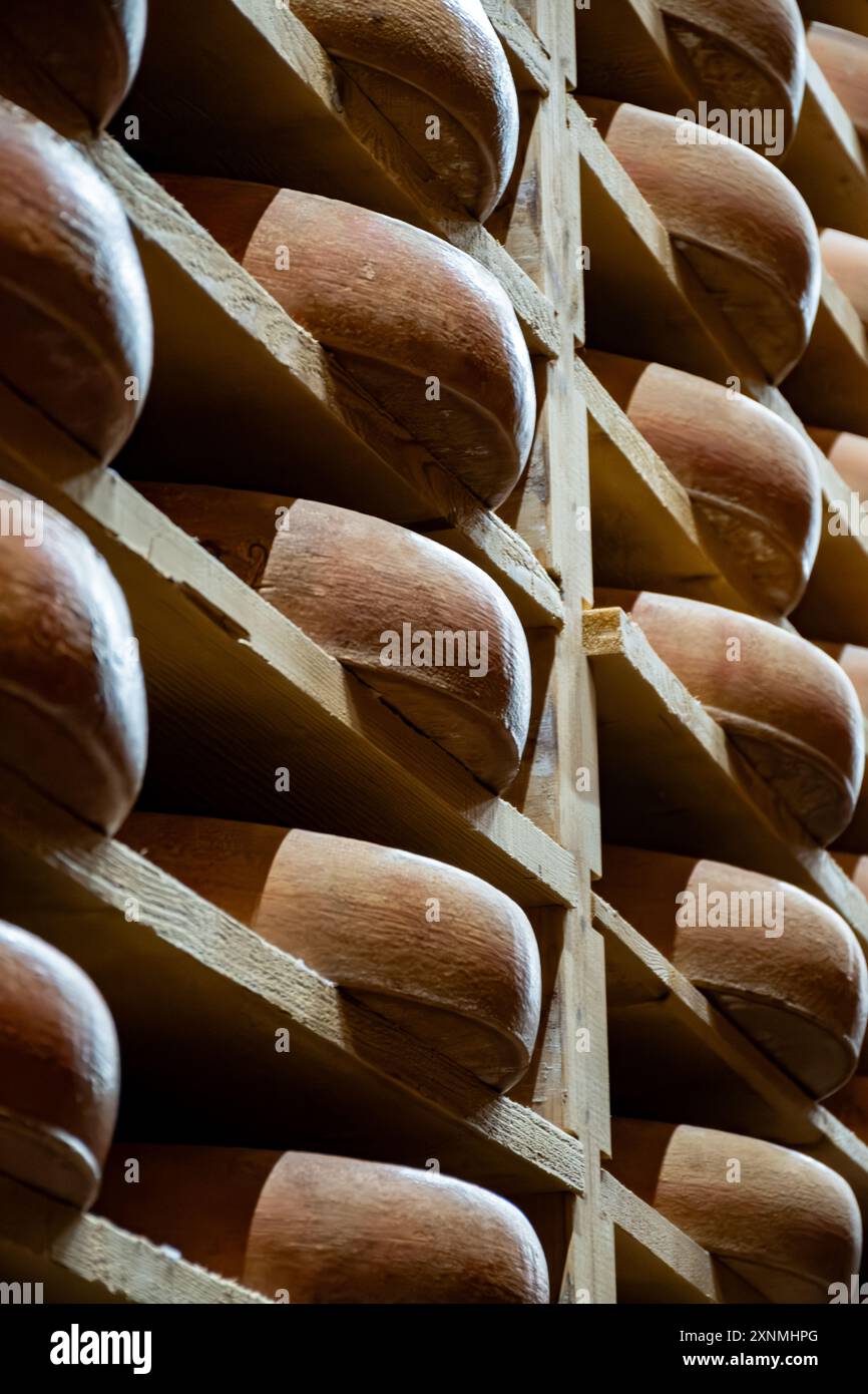 Aging rooms with many shelves in cheese caves, central location for ...