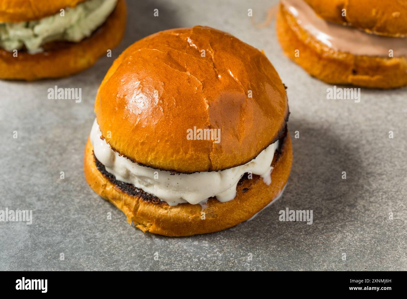 Frozen Homemade Gelato Sandwich On Brioche Buns with Vanilla and ...