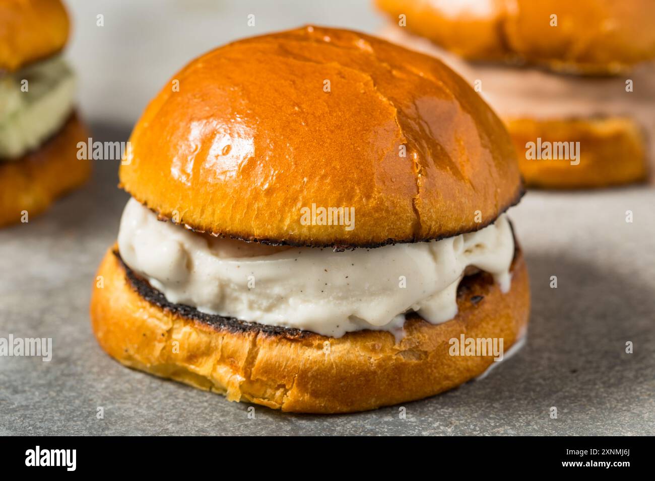 Frozen Homemade Gelato Sandwich On Brioche Buns with Vanilla and ...