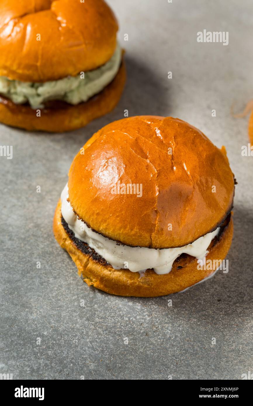 Frozen Homemade Gelato Sandwich On Brioche Buns with Vanilla and ...