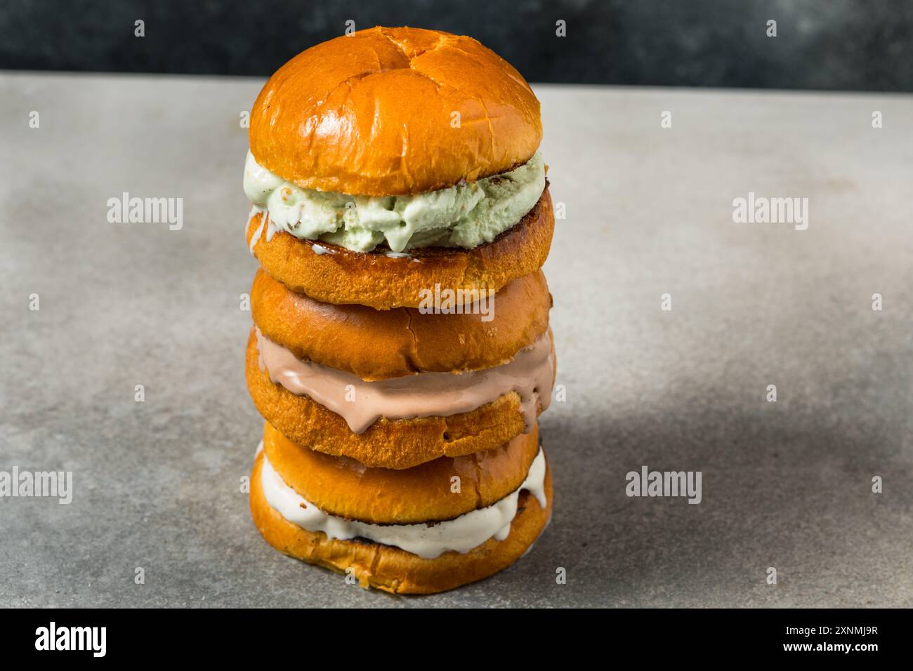 Frozen Homemade Gelato Sandwich On Brioche Buns with Vanilla and ...