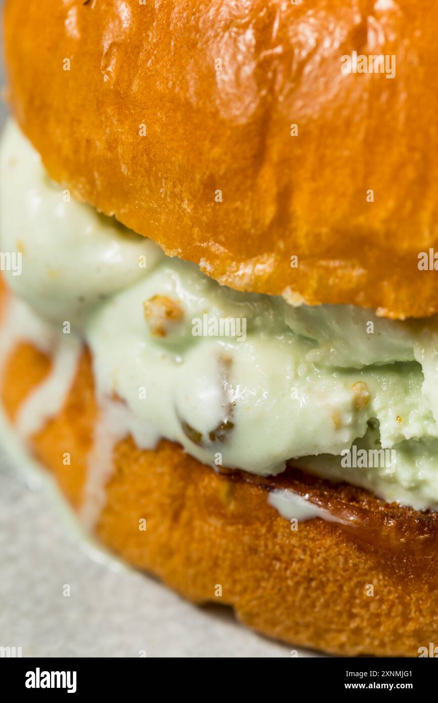 Frozen Homemade Gelato Sandwich On Brioche Buns with Vanilla and ...