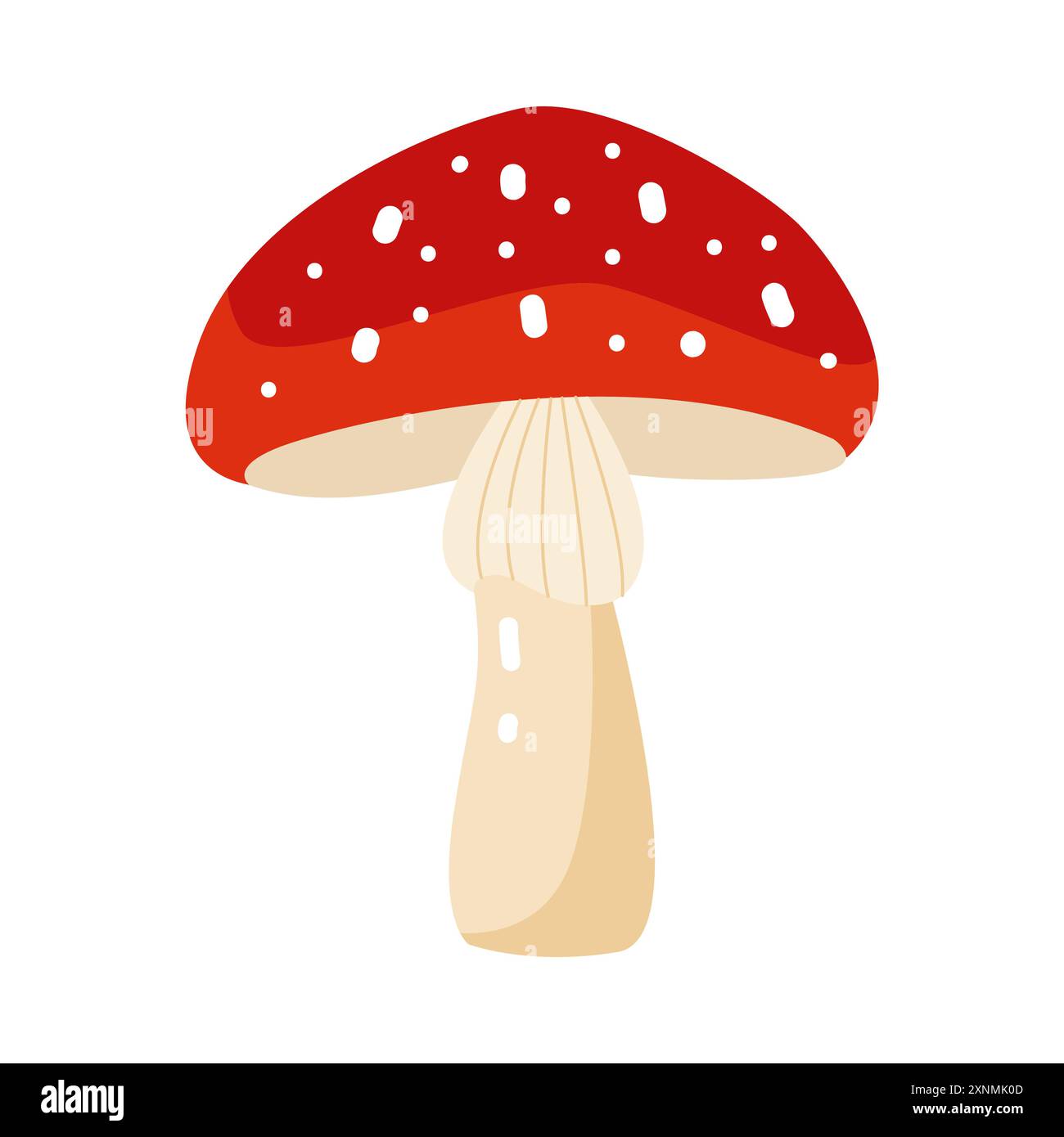 Fly agaric fungi in Stock Vector Images - Alamy