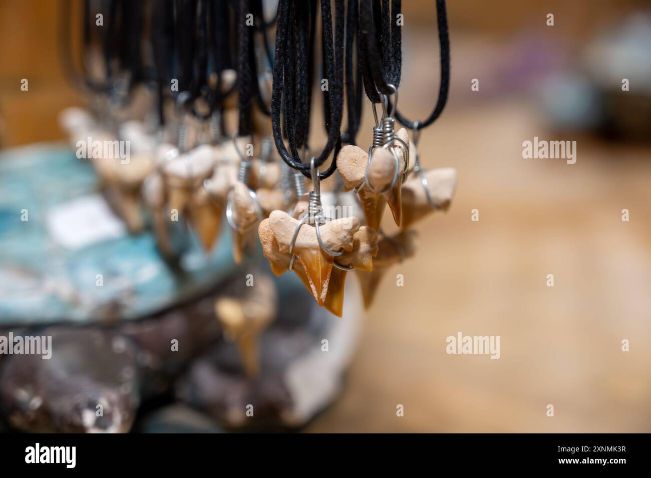 Animal teeth necklace hi-res stock photography and images - Alamy