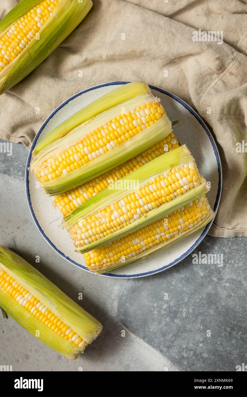 Multi Colored Sweet Corn on the Cob Ready to Cook Stock Photo - Alamy