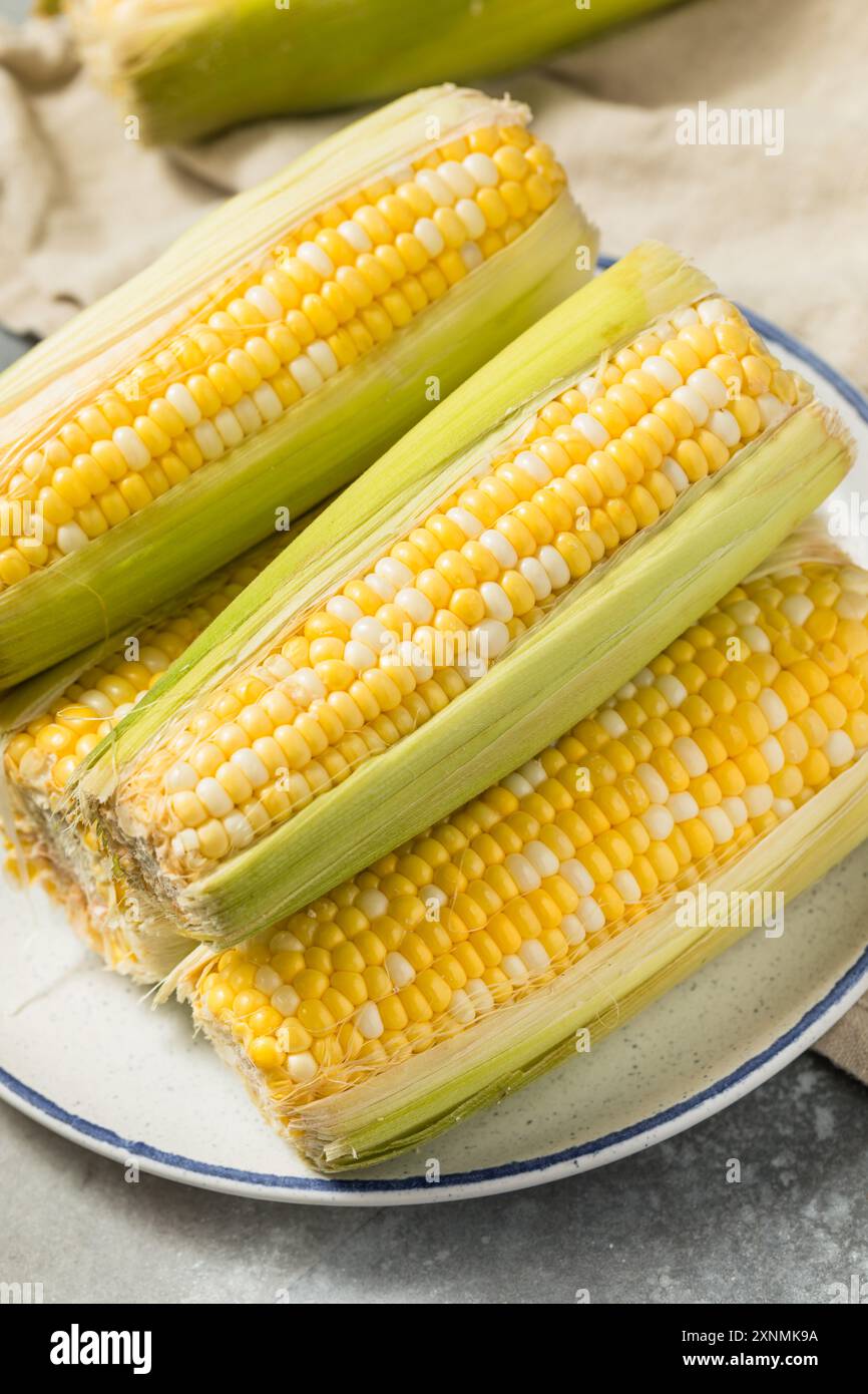 Multi Colored Sweet Corn on the Cob Ready to Cook Stock Photo - Alamy