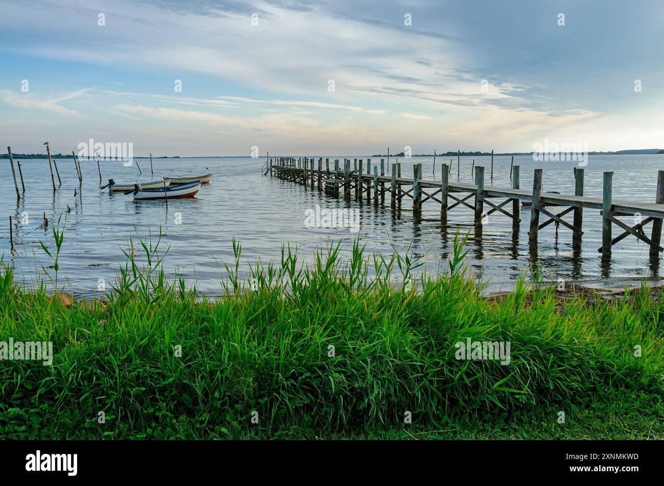 A peaceful evening unfolds with boats resting by a dock, lush grass ...