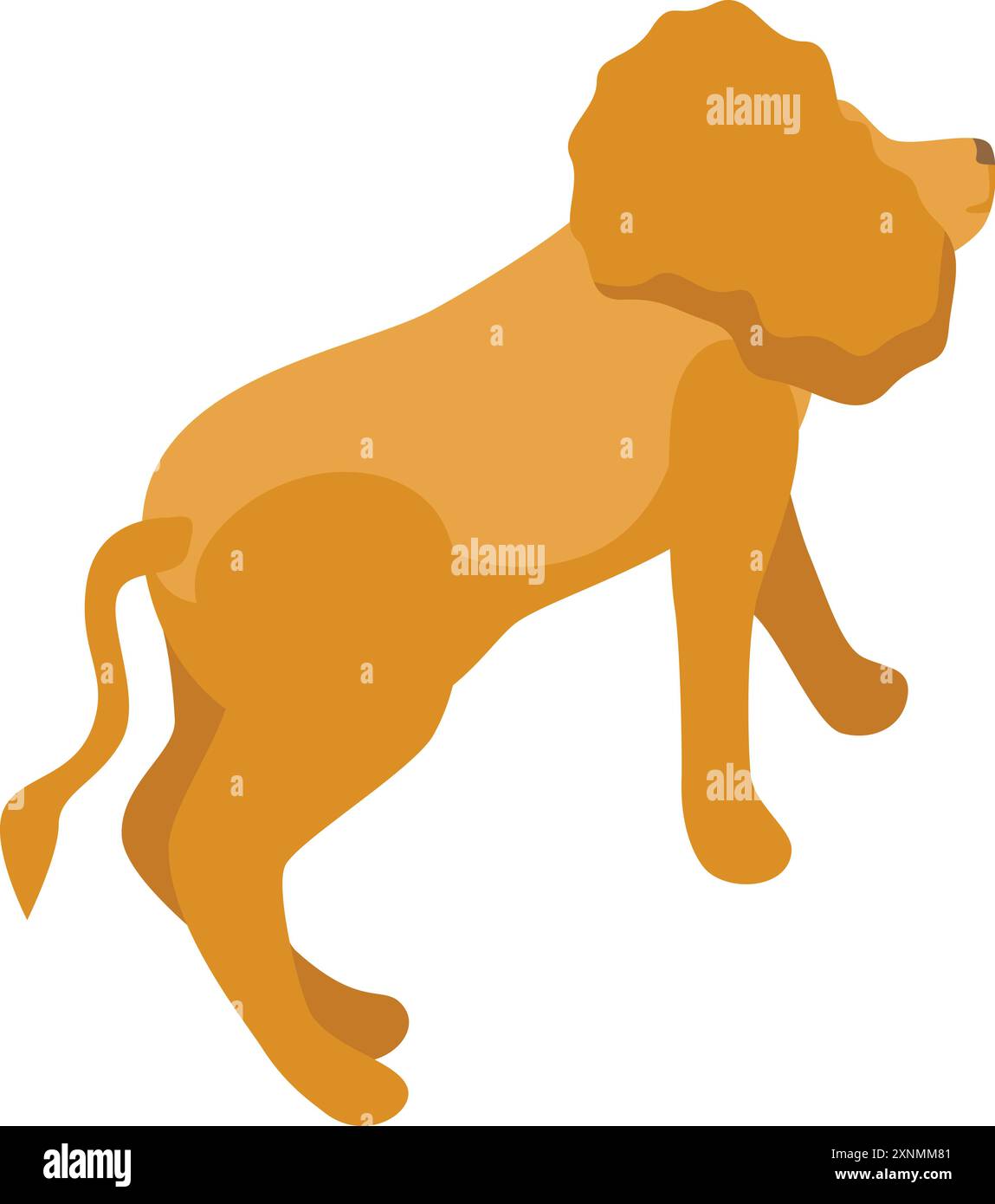 Illustration of a proud lion standing and looking for prey Stock Vector ...