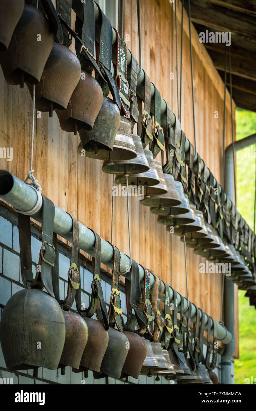Authentic traditional Swiss cowbells hanging in storage Stock Photo - Alamy
