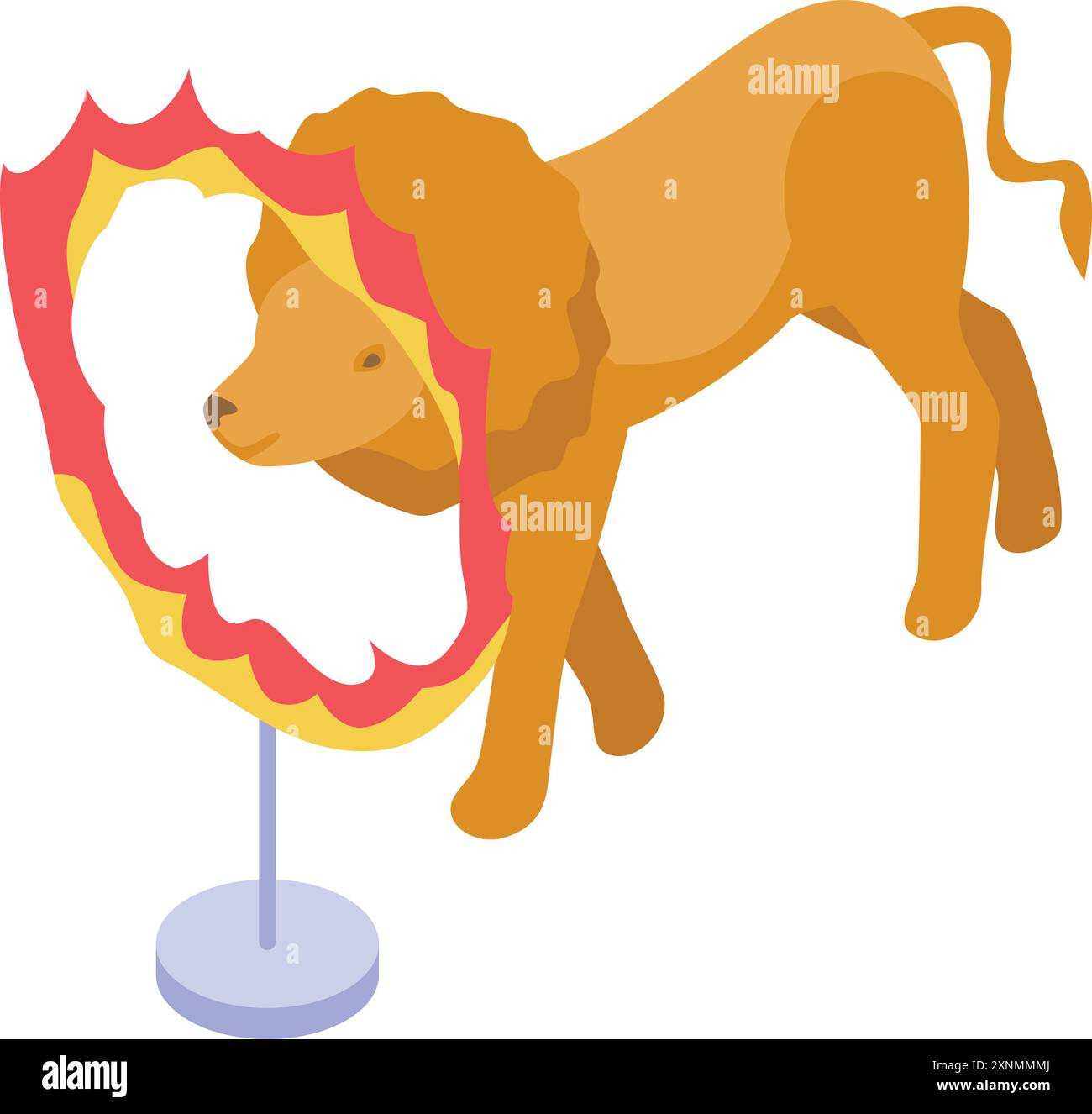 Lion jumping through a hoop hi-res stock photography and images - Alamy