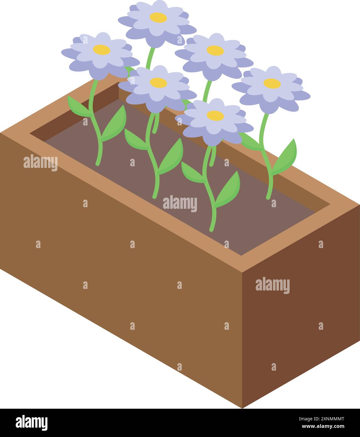 Wooden flower box with blooming daisies growing in soil, isometric icon ...