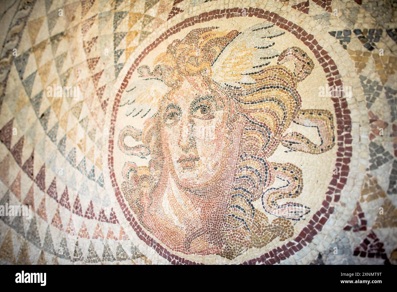 ATHENS, Greece — The Mosaic of Medusa is a captivating exhibit at the ...