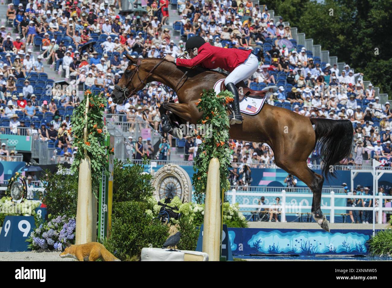 Karl COOK riding CARACOLE DE LA ROQUE, Equestrian, Jumping Team ...