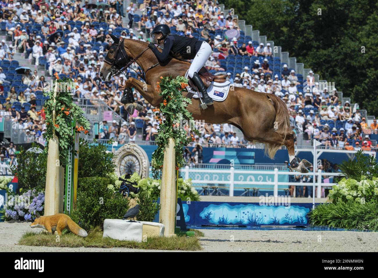 Thaisa ERWIN riding HIALITA B, Equestrian, Jumping Team Qualifier ...