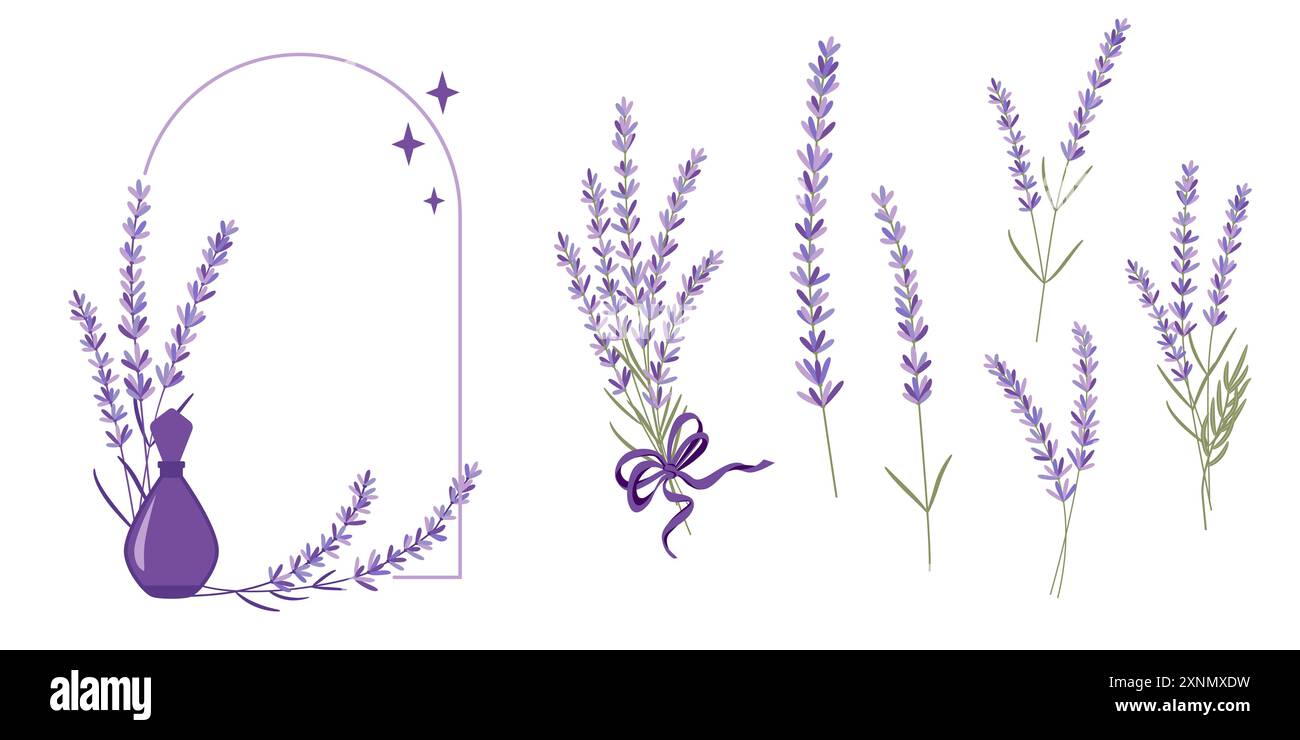 Vector illustration set of lavender flowers, bouquet, wreath and ...