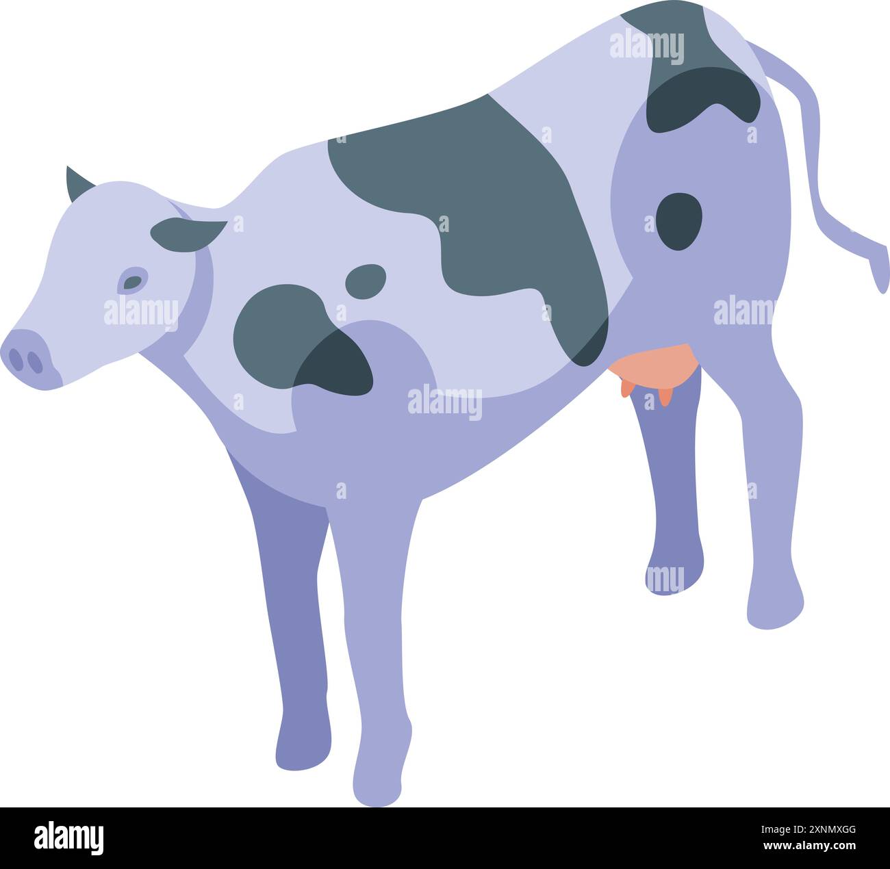 Spotted milk cow standing on farm in isometric projection, farming and ...