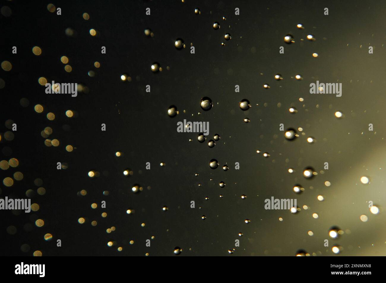 Water drops of different sizes, forming different backgrounds Stock ...