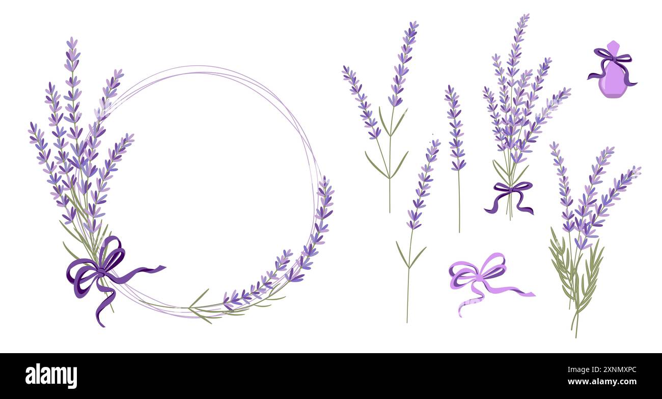 Vector illustration set of lavender flowers, bouquet, wreath and ...