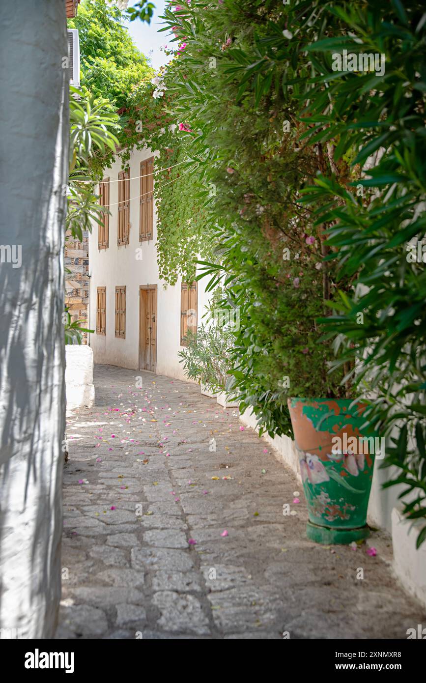 Photography of old narrow street; facade; building; wall; old alley ...