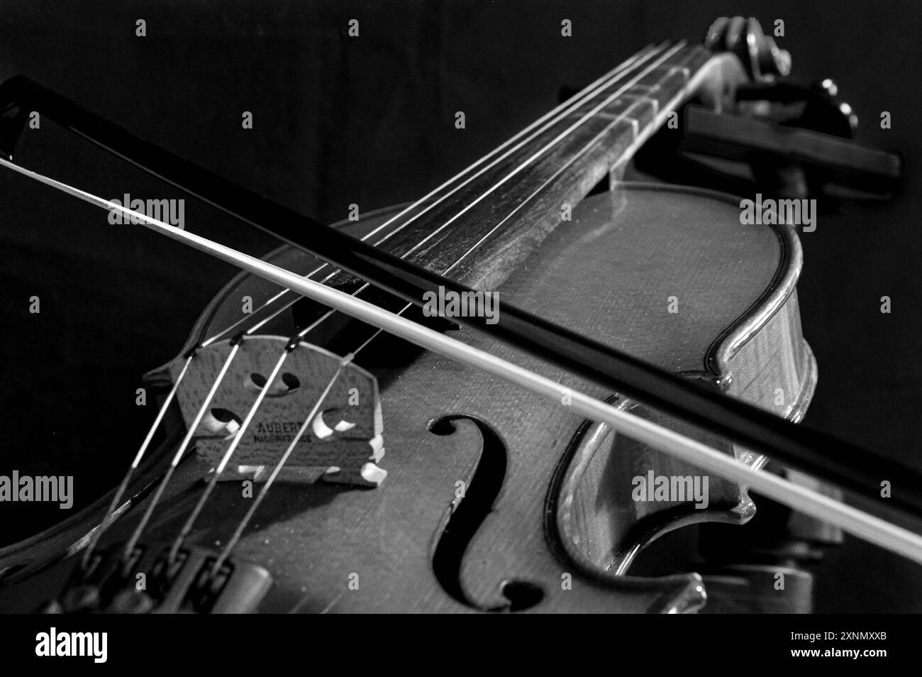 Natural classroom Black and White Stock Photos & Images - Alamy