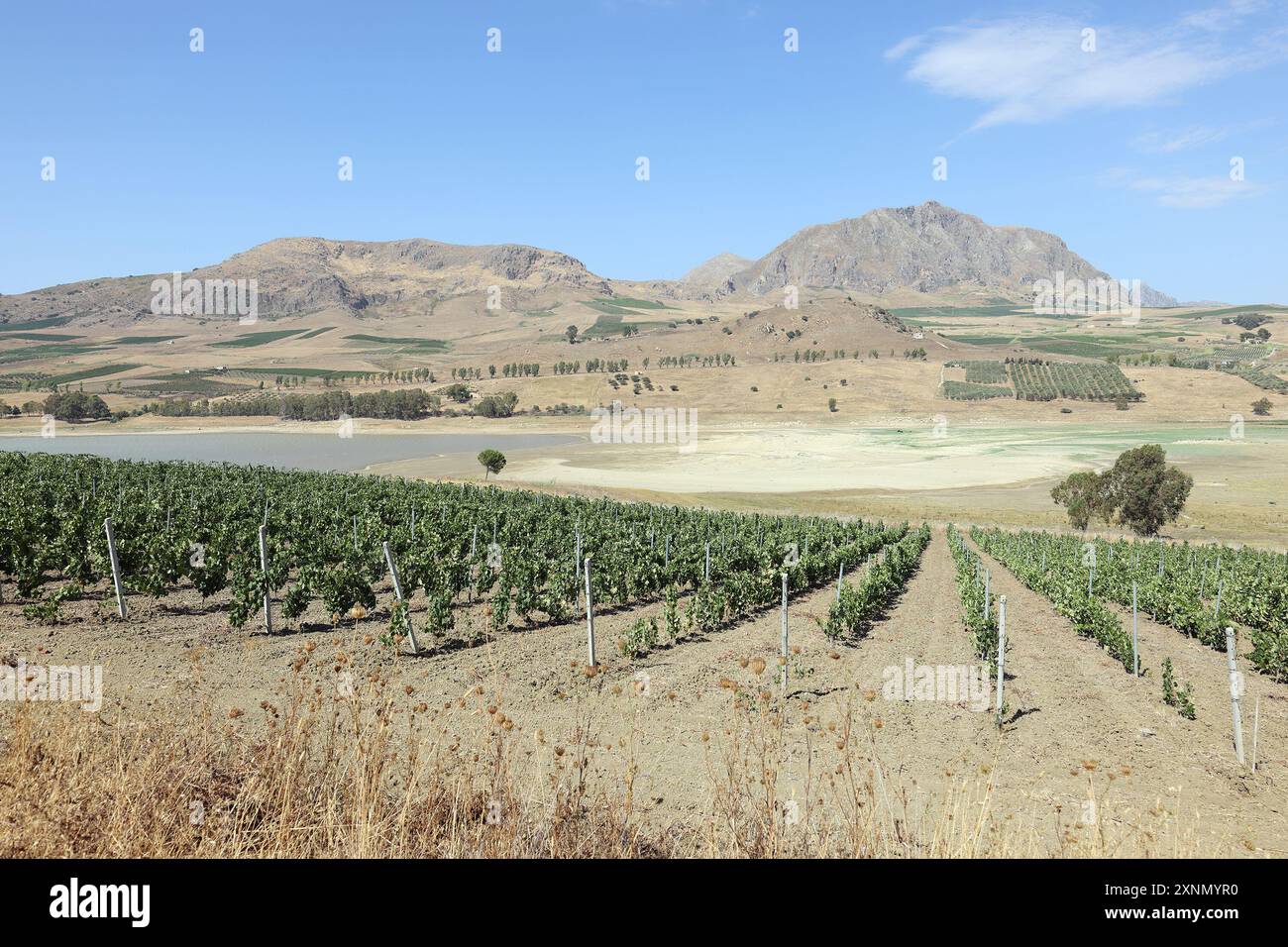 Partinico (PA) - DROUGHT IN SICILY LAKE POMA IS DISAPPEARING in the ...