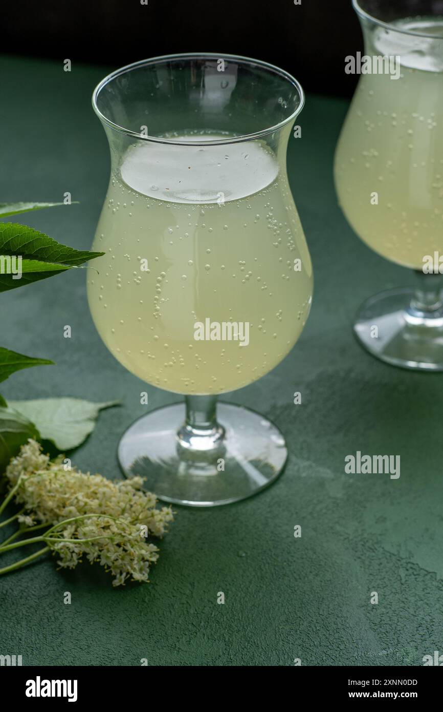 Carbonated elderflower drink. Flower summer kvass in glasses. Sparkling homemade natural hugo ...