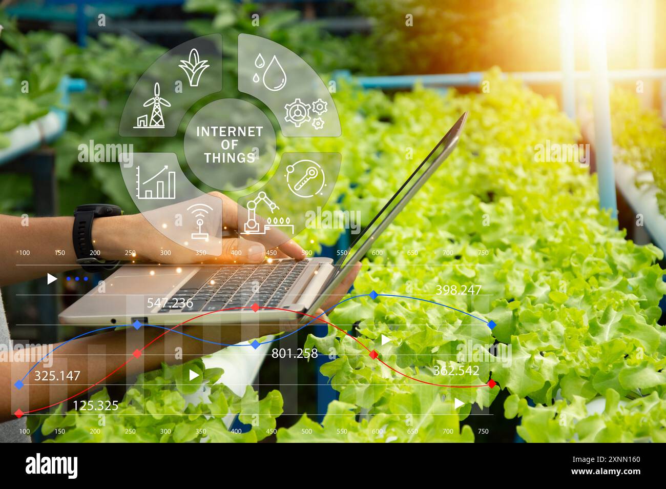 The concept of using AI and smart farming Stock Photo - Alamy