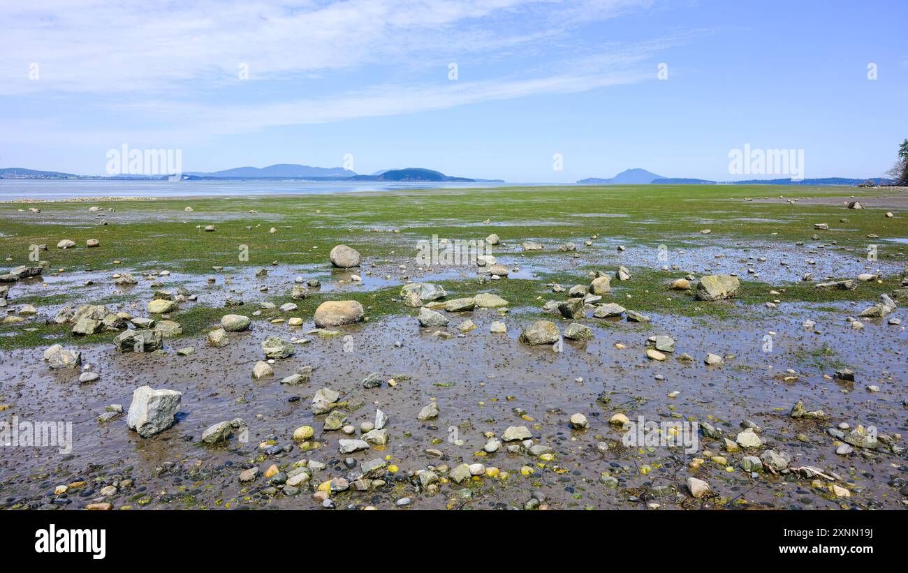 Padilla bay national estuarine research reserve hi-res stock ...