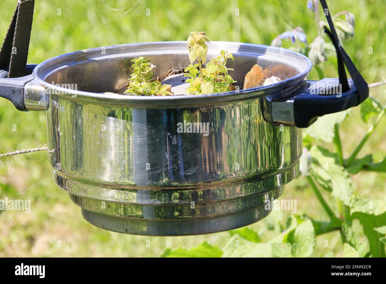 Kitchen steamer pot being repurposed as a hanging basket for Indian ...