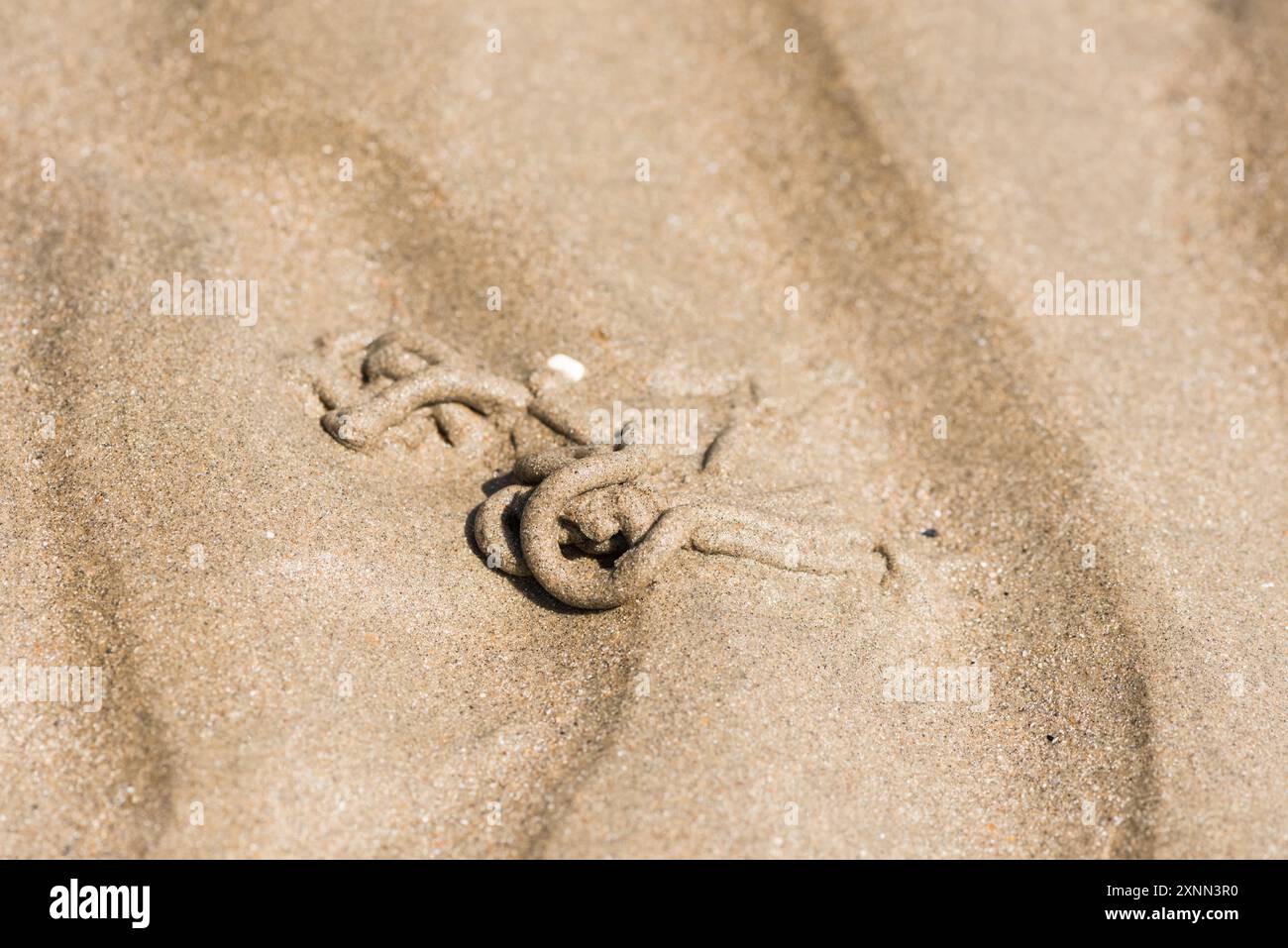 Lugworm cast on beach hi-res stock photography and images - Alamy