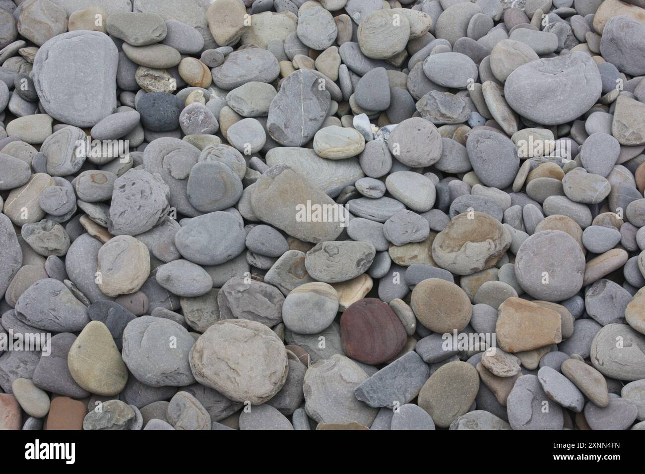 Rounded pebbles and stones at Wiseman's Beach, Pembrokeshire, Wales, UK ...