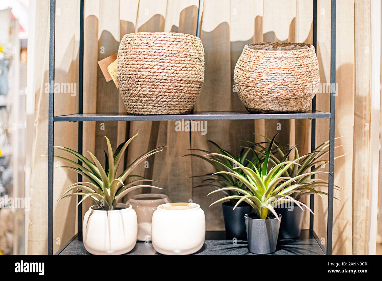 Stylish flower pots hi-res stock photography and images - Alamy