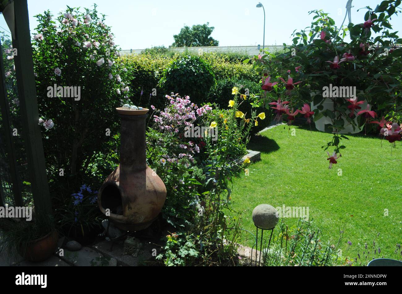 Copenhagen/ DenmarK/ 01 August 2024/ Danish home gardening flowers and ...
