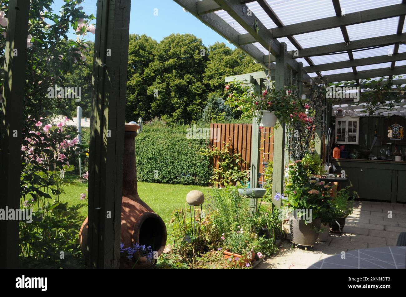 Copenhagen/ DenmarK/ 01 August 2024/ Danish home gardening flowers and ...