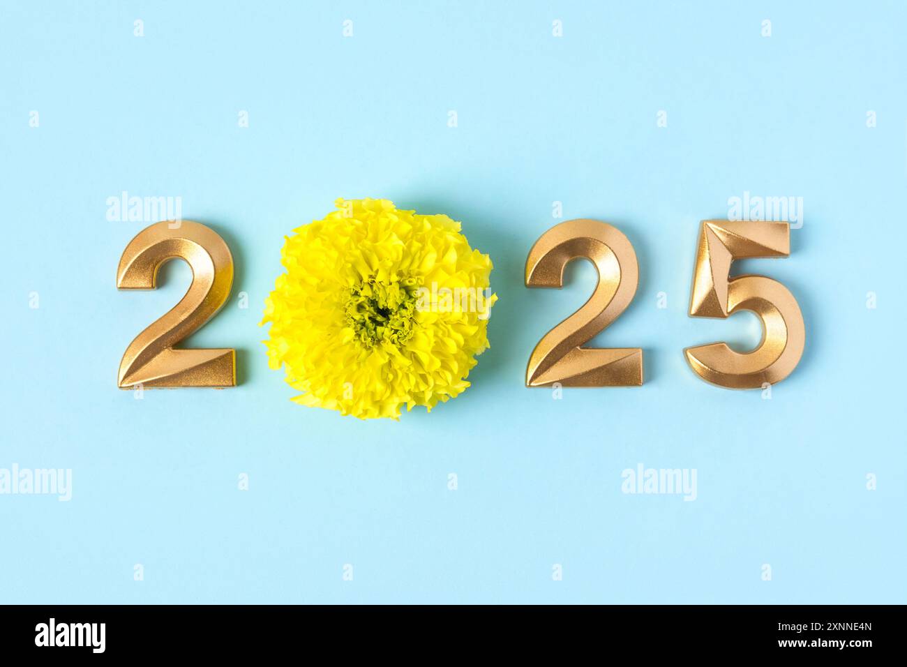 Gold numbers and yellow marigolds flower on blue background. 2025 new ...