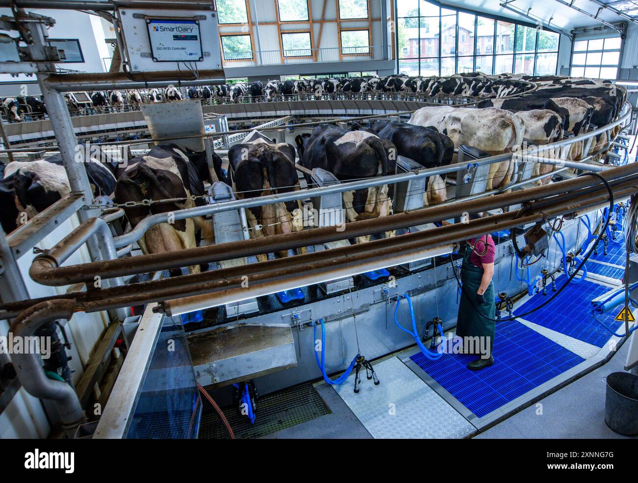 Hohen Luckow, Germany. 31st July, 2024. The modern milking carousel at ...