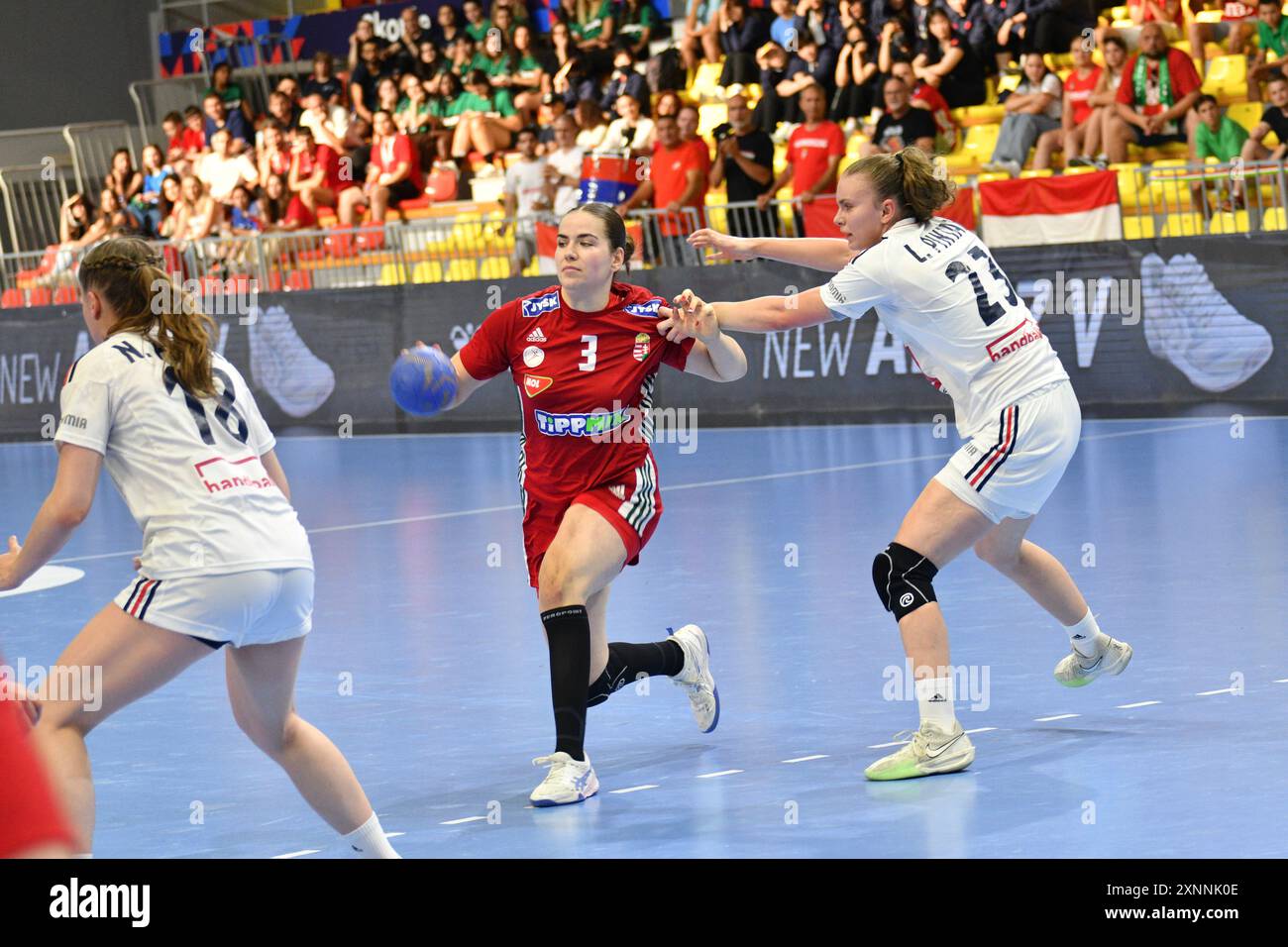 Skopje, Macedonia-7 30 2024. Final match between France and Hungary. France won their title. The ...