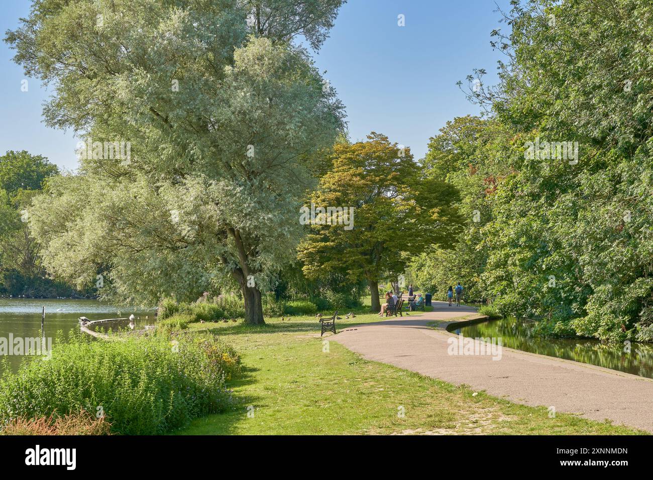 Verulam Park in summer sunshine Stock Photo - Alamy